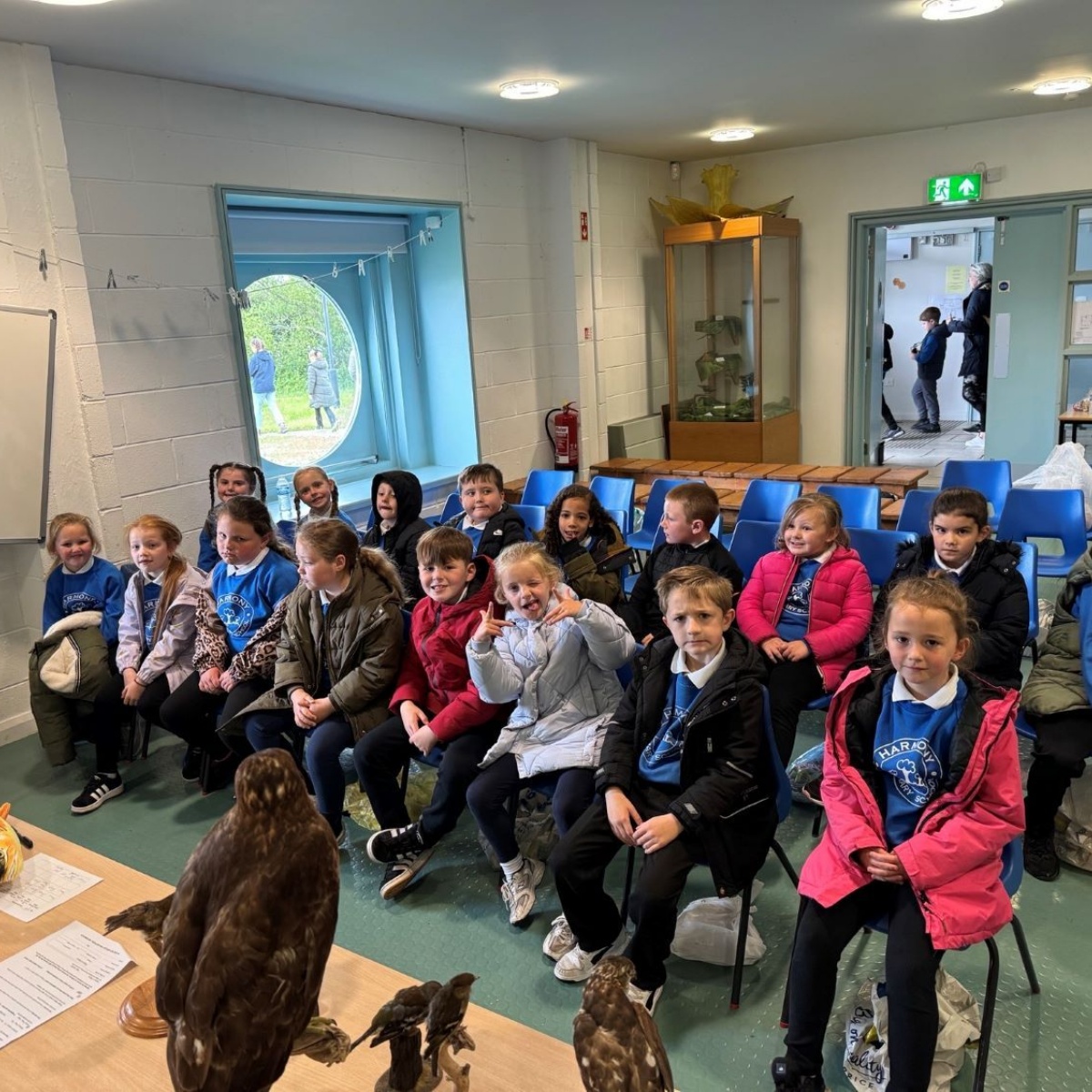 Harmony Primary School - P3 Trip to Oxford Island