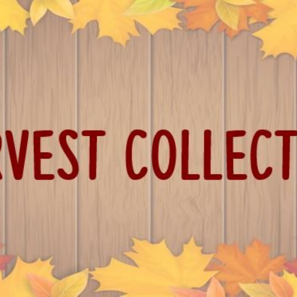 Harmony Primary School - Harvest Items